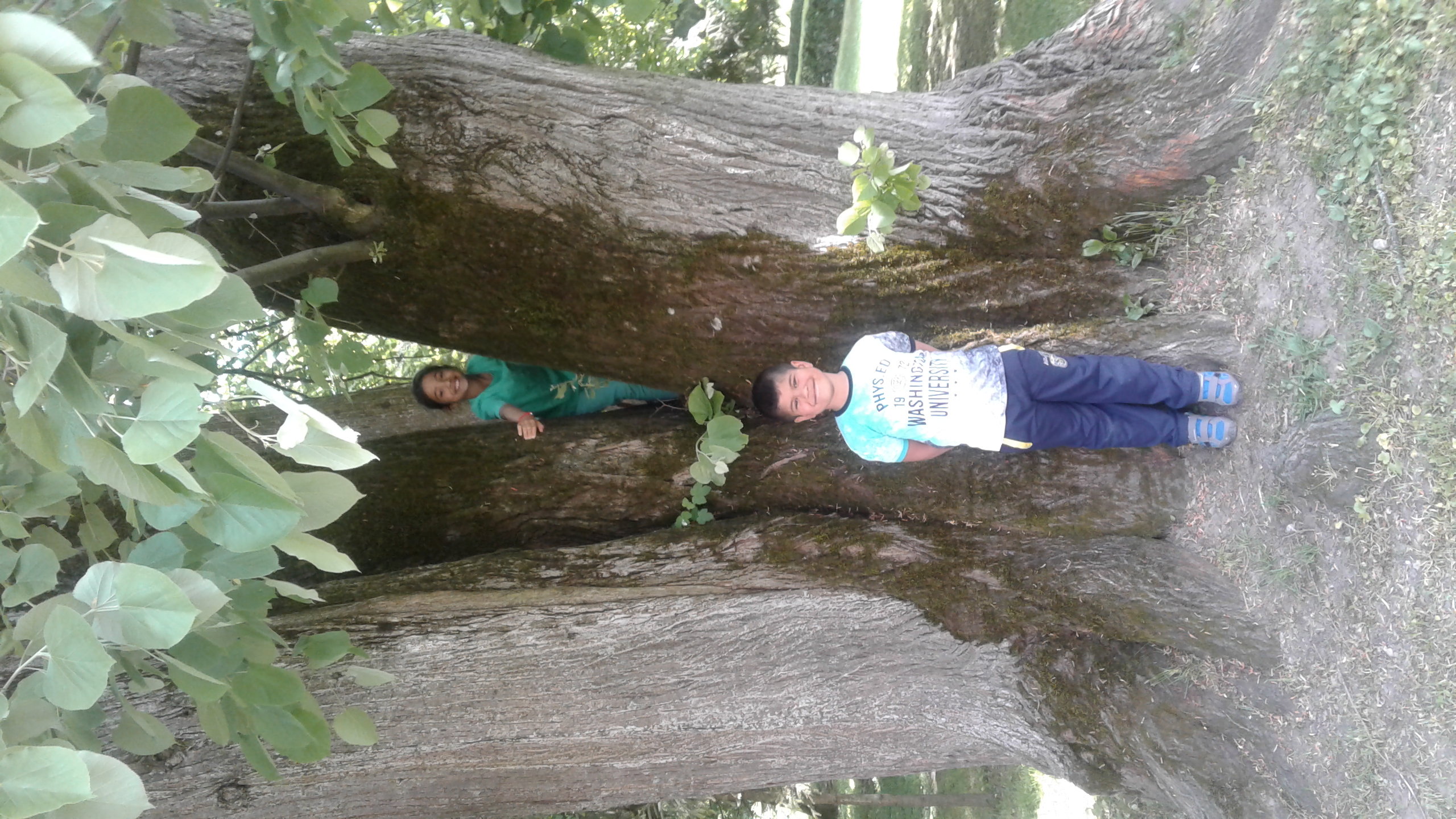 BIVOLUL SI COTOFANA - KIDIBOT - Bătăliile Cunoașterii