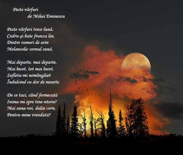 Peste vârfuri - KIDIBOT - Bătăliile Cunoașterii