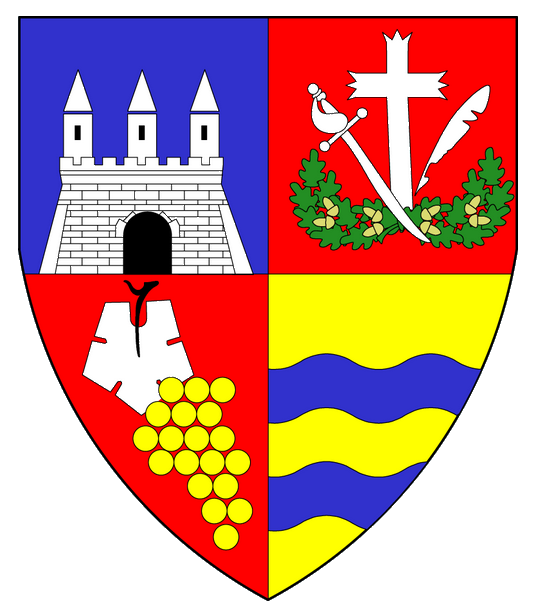 Resedinte de judet - KIDIBOT - Bătăliile Cunoașterii