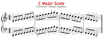 Gama Do major - KIDIBOT - Bătăliile Cunoașterii