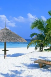 Test Sinonime - KIDIBOT - Bătăliile Cunoașterii