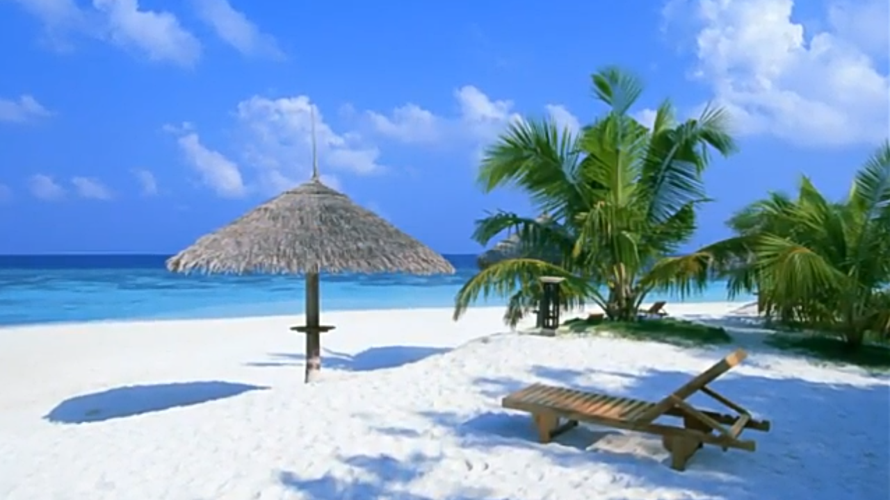 Apa, formele apei și animalele acvatice - KIDIBOT - Bătăliile Cunoașterii