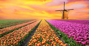 Inmultirea cu 7! - KIDIBOT - Bătăliile Cunoașterii