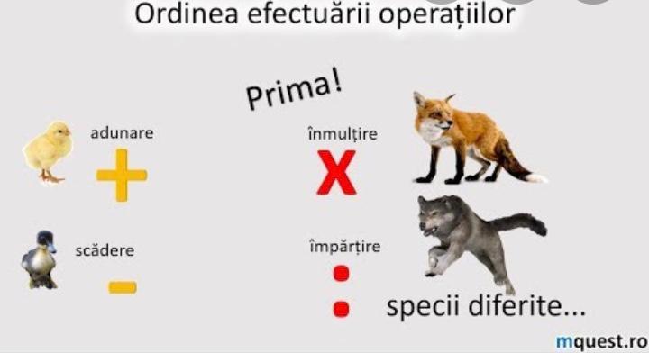 Ordinea efectuării operatiilor - KIDIBOT - Bătăliile Cunoașterii