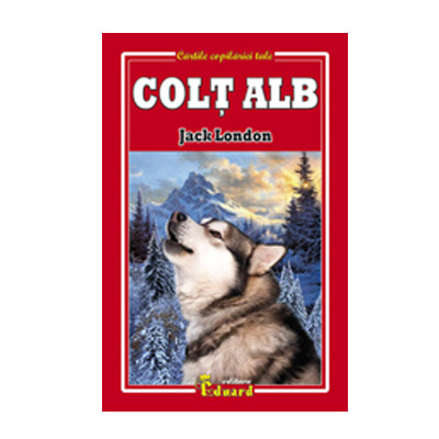 Colt alb - KIDIBOT - Bătăliile Cunoașterii