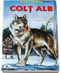 Colt Alb - [2] - KIDIBOT - Bătăliile Cunoașterii