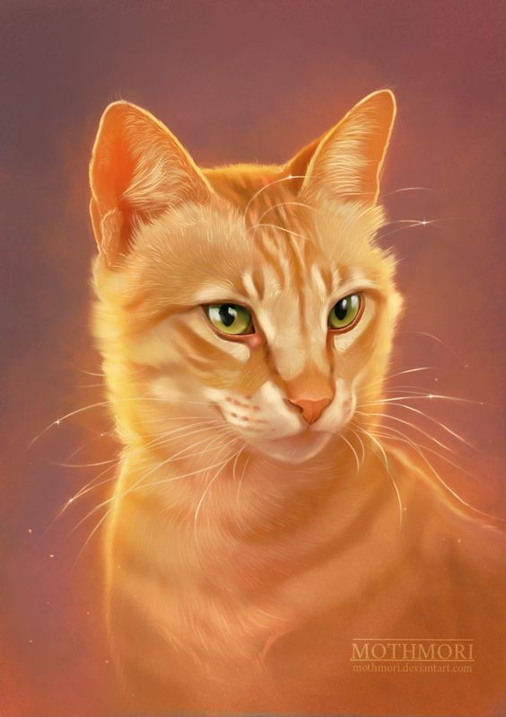 Pisicile Razboince-In Inima Padurii - KIDIBOT - Bătăliile Cunoașterii